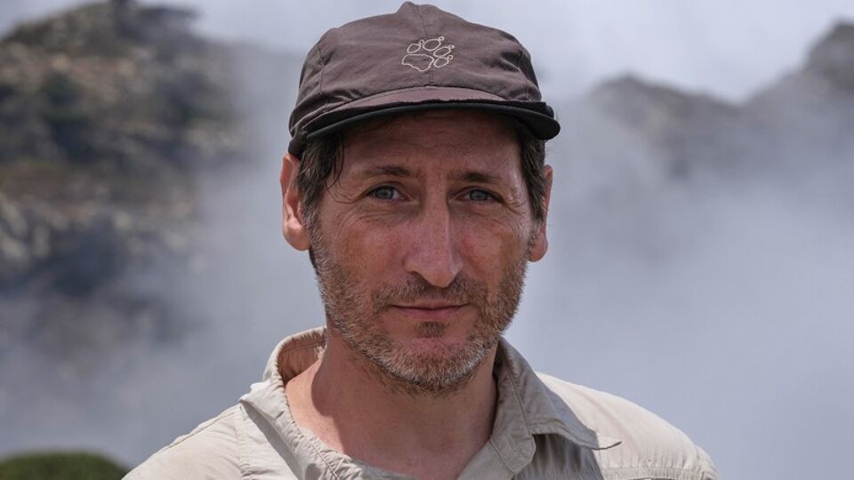 Van drakenbloedbomen tot blauwe libellen: hoe Kay Van Damme Nature ...