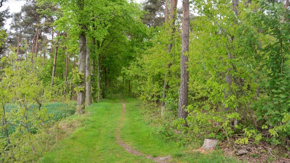 Dan toch geen huizen in Scheutbos in Lembeke | VRT NWS: nieuws
