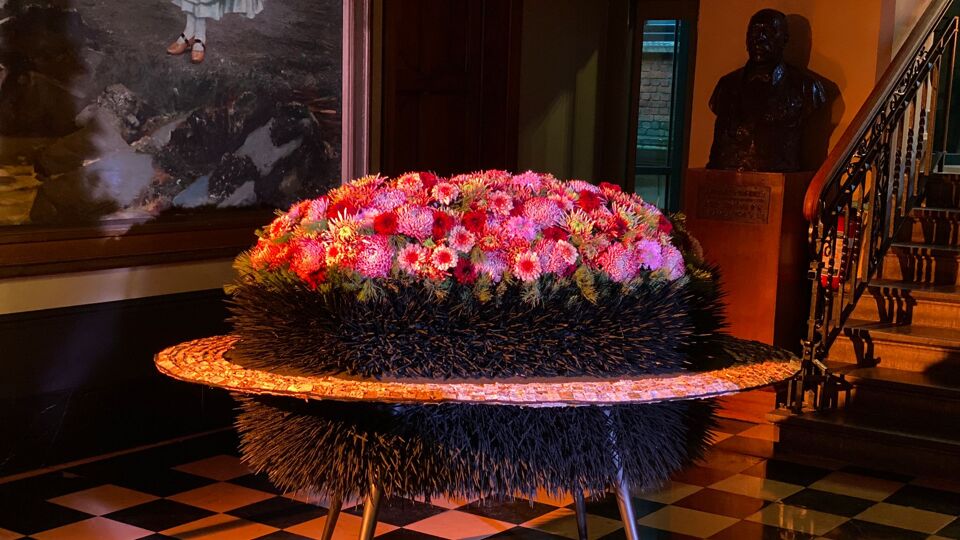 Féerie Florale laat stadhuis Dendermonde opnieuw baden in bloemenpracht ...
