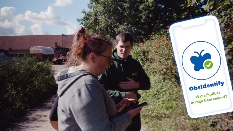 Landbouwdochter Tine Hermans in Merksplas ontdekt 296 soorten planten ...