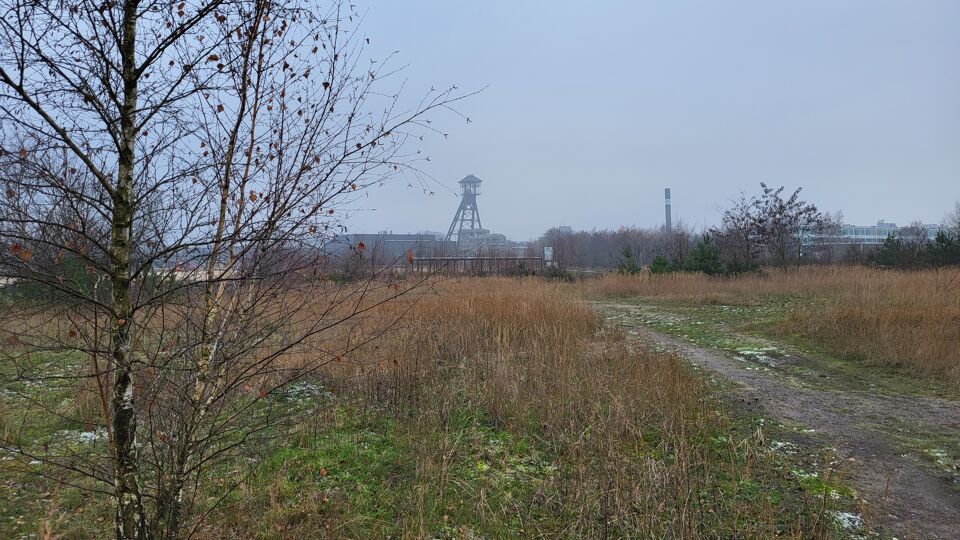 Thor Park in Genk krijgt kunstinstallatie in 2025 | VRT NWS: nieuws