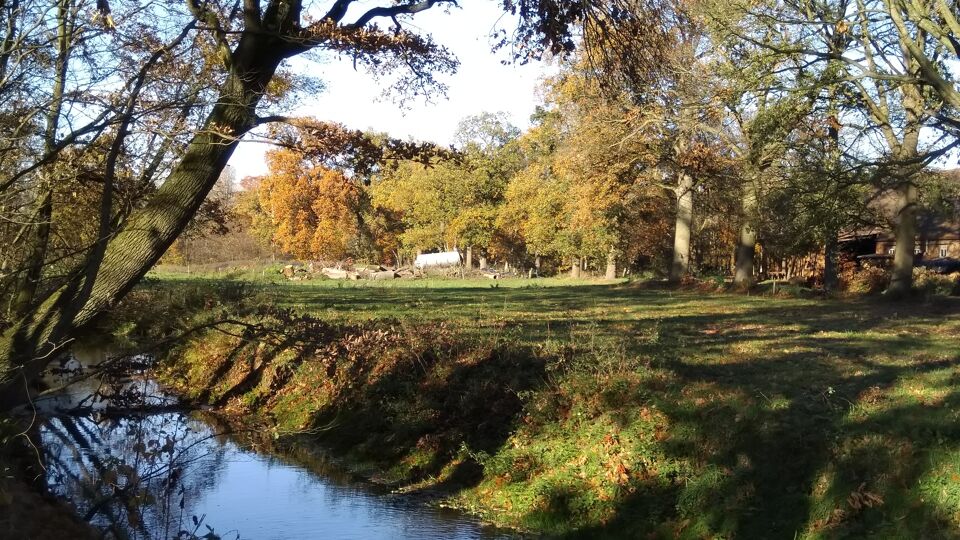 Natuurpunt Koopt 142 Hectare Bos En Heide Van Geelse Adellijke Familie Natuurpunt Koopt 142 Hectare Bos En Heide Van Geelse Adellijke Familie