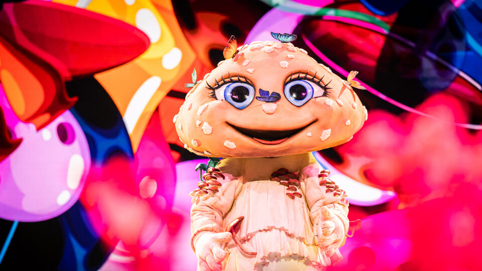 Tovenaar wint "The Masked Singer" | VRT NWS: nieuws