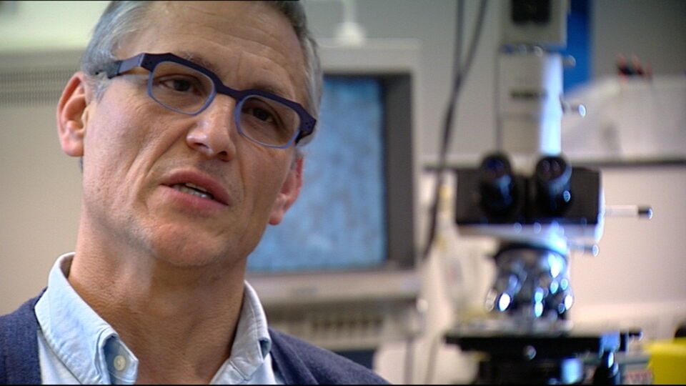 Ein umstrittener niederländischer Samenspender befruchtete auch Frauen ...