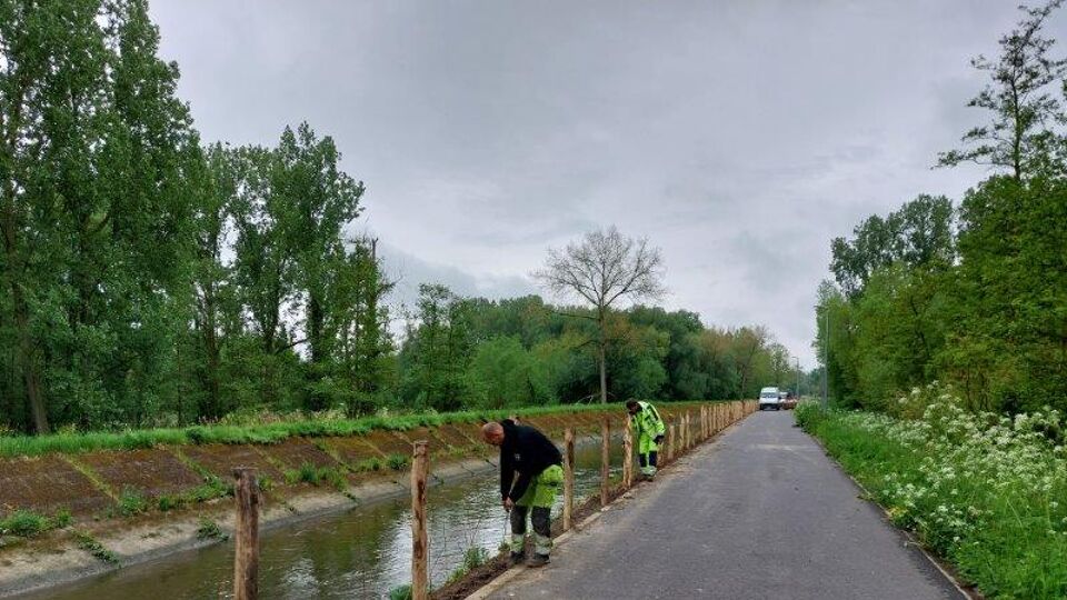 Haag die fietssnelweg langs de Zenne in Zemst veiliger moet maken, krijgt vorm | VRT NWS: nieuws