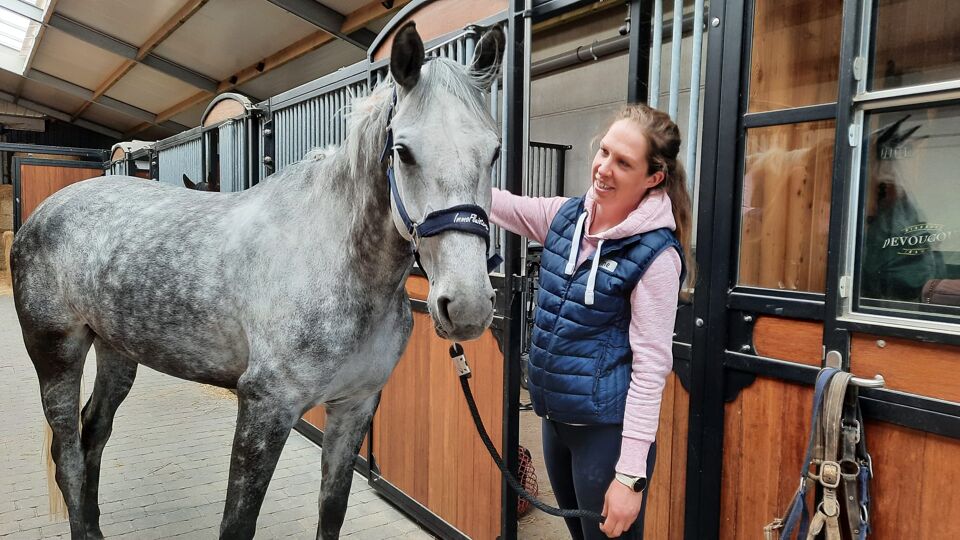 Tussen witloof en paarden: ruiter Tine Magnus uit Merchtem zet koers ...