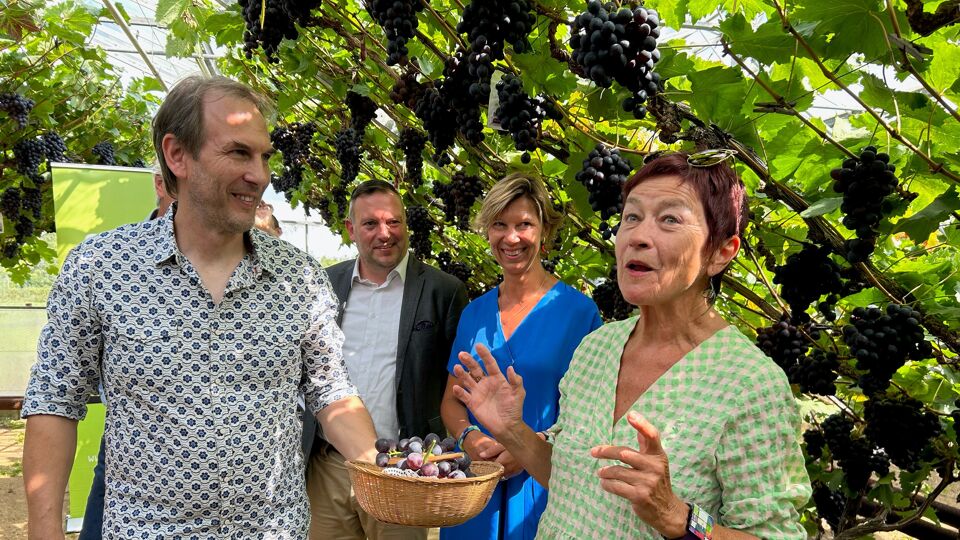 Weduwe van striptekenaar Marc Sleen knipt in Hoeilaart eerste ...