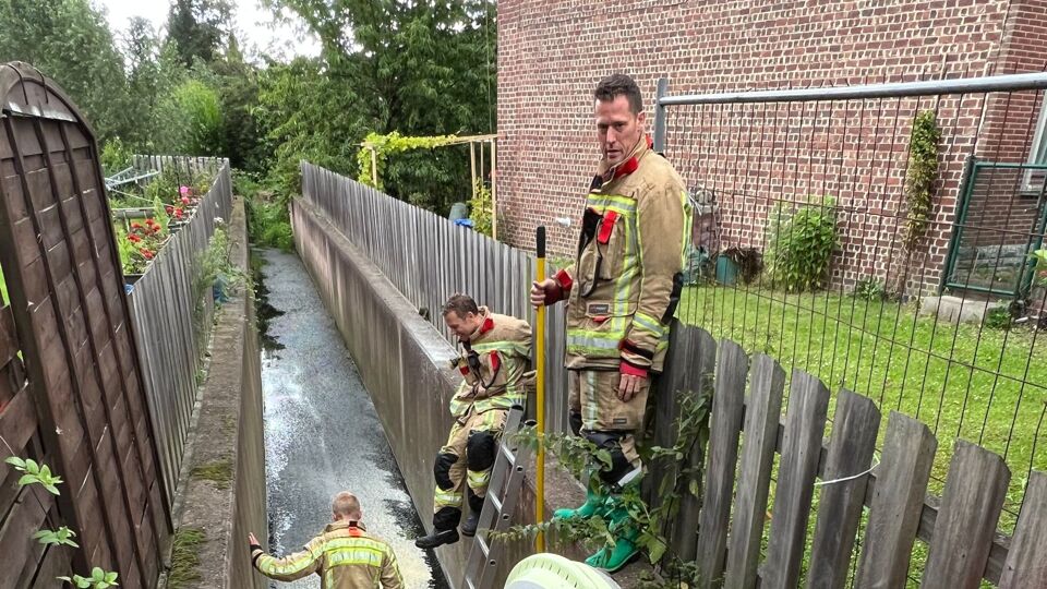 Smurrie aangetroffen op "Molenbeek" in Sint-Agatha-Berchem: beek ...