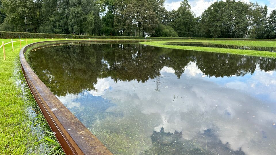 Overstroomde beek zet windhondenrenbaan en plantencentrum in Beringen ...