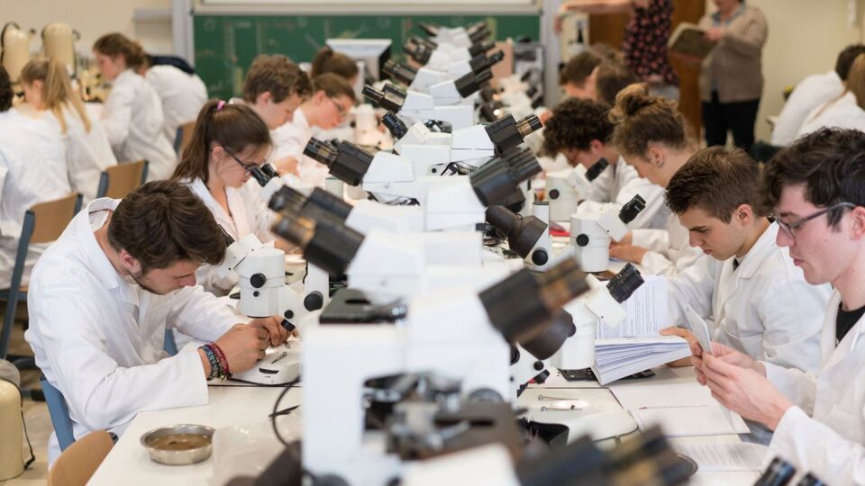 Faculteit Bio-ingenieurswetenschappen UGent zoekt sponsors om 100 ...