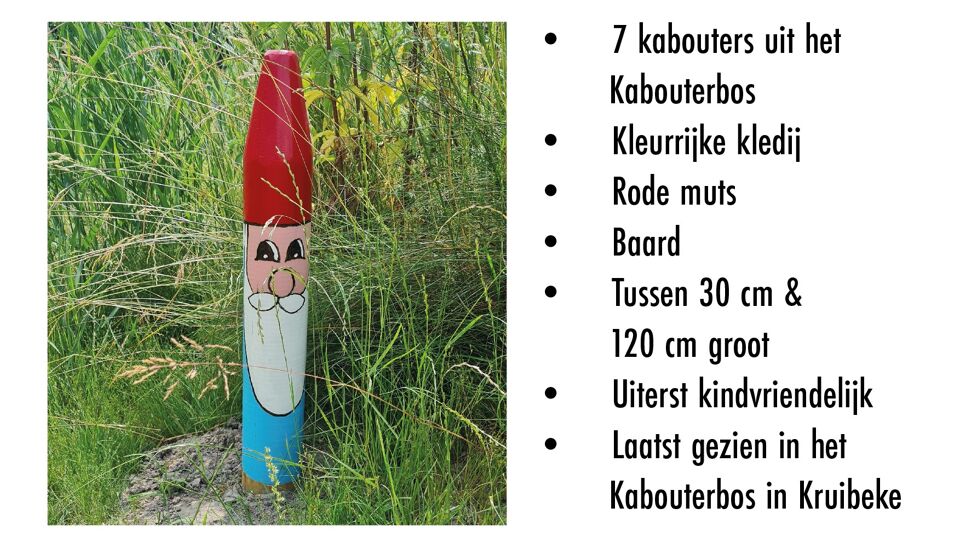 Opsporingsbericht naar vermiste kabouters uit Kruibeke | VRT NWS: nieuws