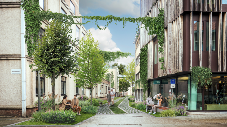 Straat in centrum van Hasselt krijgt karrenspoor, struiken ...