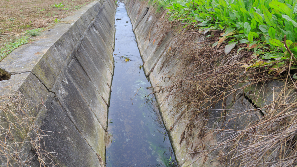 Provincie West-Vlaanderen wil inzetten op lokale waterzuivering om ...
