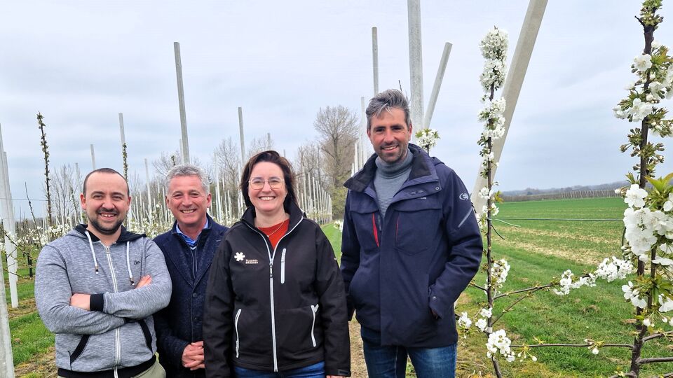 B(l)oeiend Hageland laat toeristen genieten van de bloesems, maar ...
