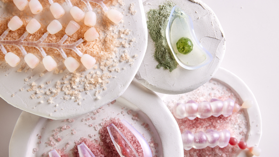 Microalgen als voedsel van de toekomst: "Gezond, nu aan de slag met ...