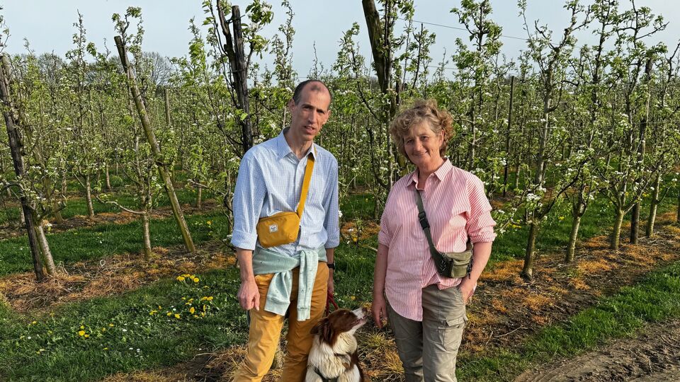 Eerste bloesems lokken wandelaars en fietsers naar het Hageland | VRT ...