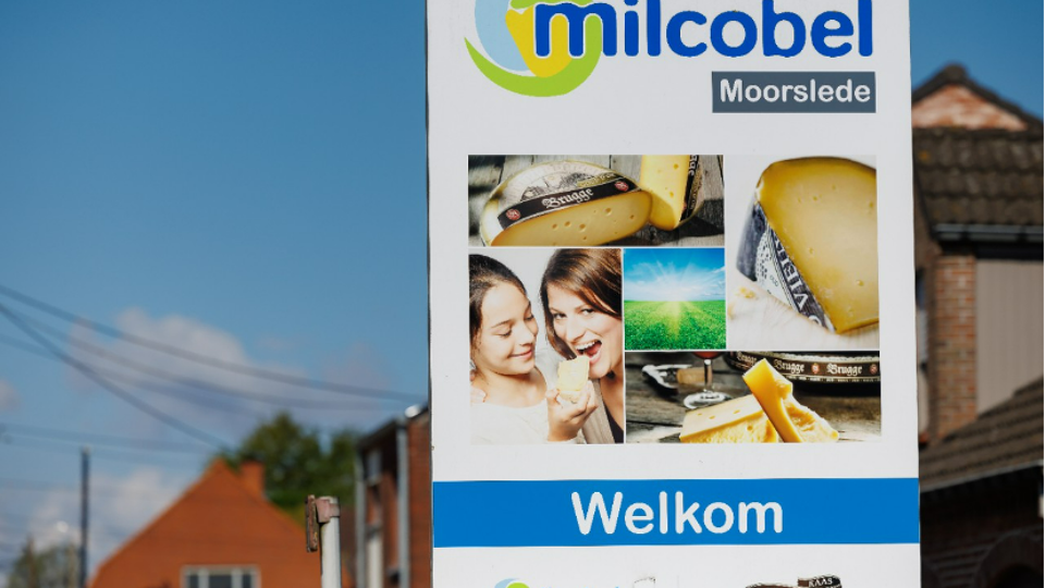 Milcobel lijdt 11,5 miljoen euro verlies door invoering nieuw ...