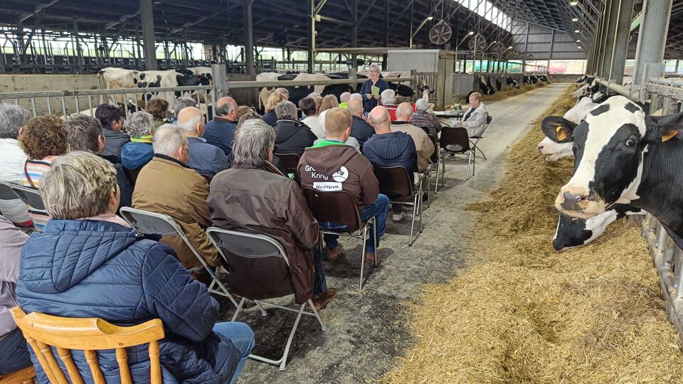 Misviering tussen de koeien: tientallen bezoekers bidden voor een goede ...