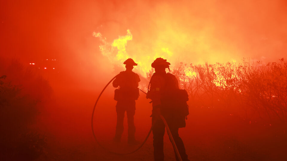 Grote bosbrand in Californië legt 50 vierkante kilometer natuur in de ...