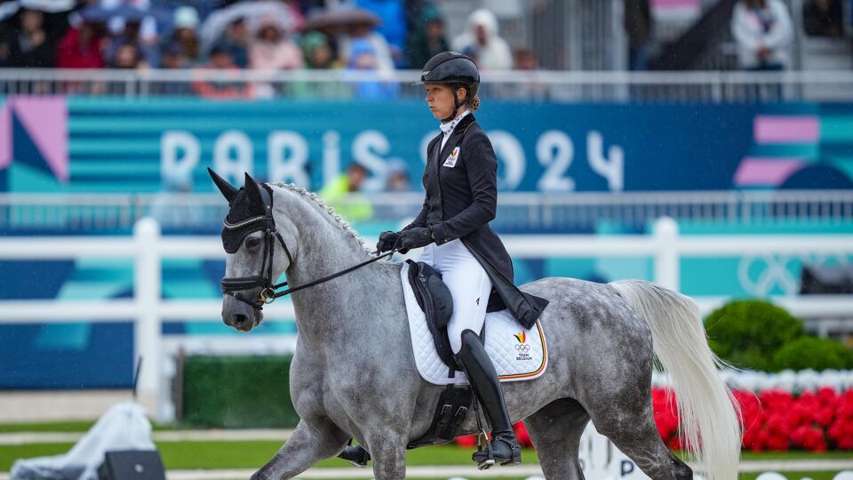 Verbazing in Belgische paardensport na positieve dopingtest van ...