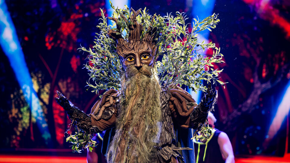Bekend VRT NWS-gezicht is Boom in ‘The masked singer’: "Ik heb 25 jaar ...