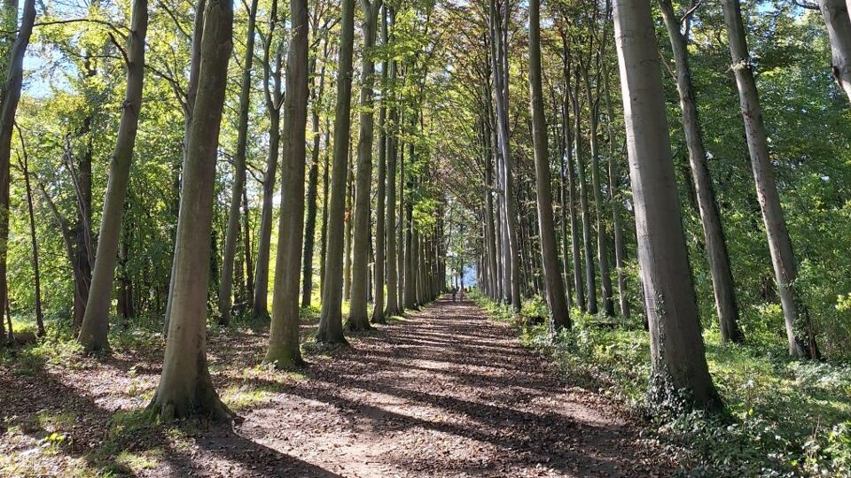 Grimbergen lanceert Trage Wegenkaart: "63 kilometer aan trage wegen in ...