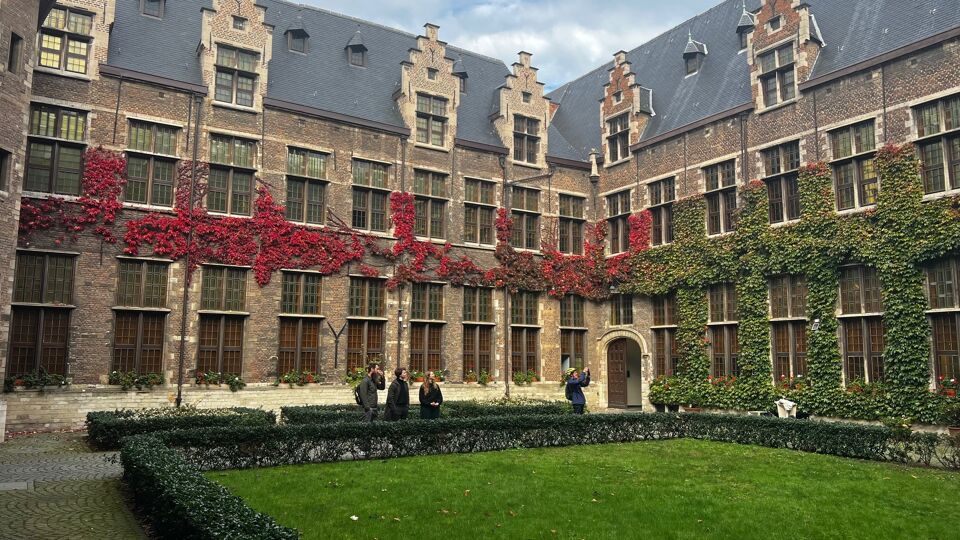 Klimplanten beschermen 16e-eeuwse gevels Antwerps stadspaleis Hof van ...