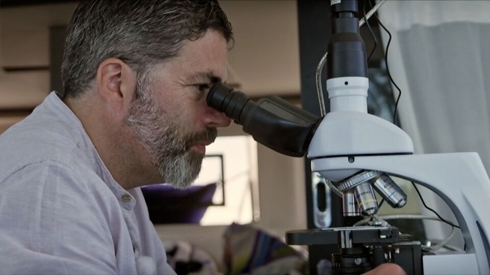 'LuckyB': viroloog Steven Van Gucht ontdekt nieuw virus tijdens 'Over ...