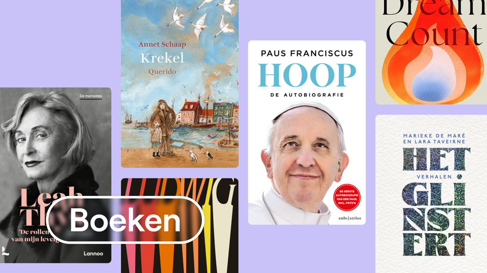 Een vervolg op 'Lampje' van Annet Schaap of de memoires van paus ...