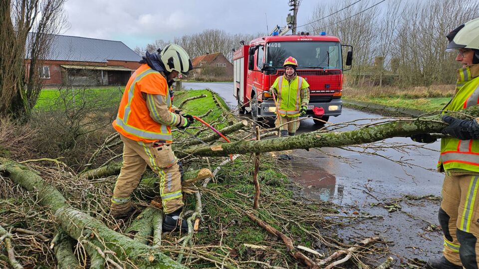 2 mensen zwaargewond nadat boom op auto is gevallen in buurt van Doornik, KMI waarschuwt voor ...