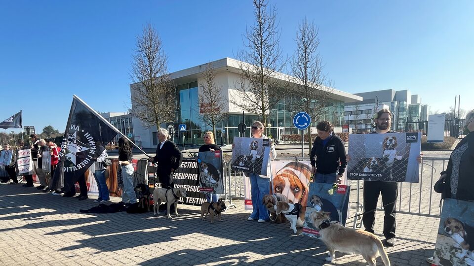 Animal Rights voert actie voor poorten van Johnson & Johnson in Beerse ...